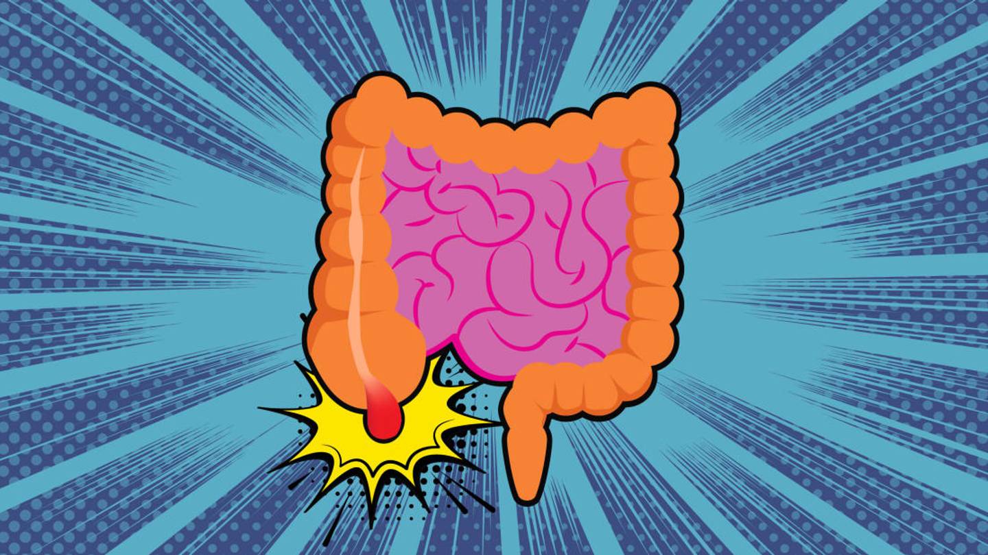 11 Facts About the Appendix
