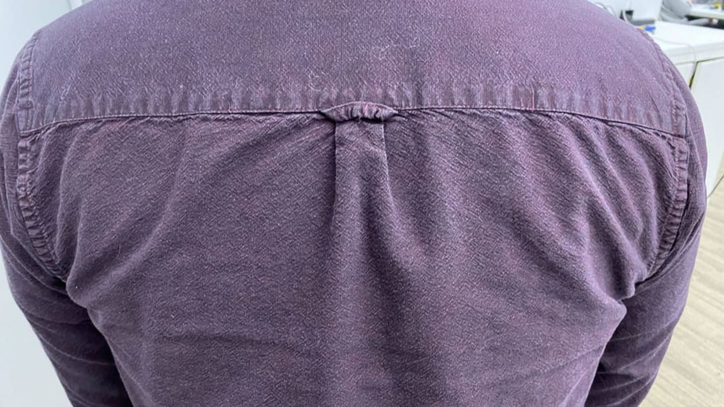 The Reason Why Button-Down Shirts Have Loops On the Back