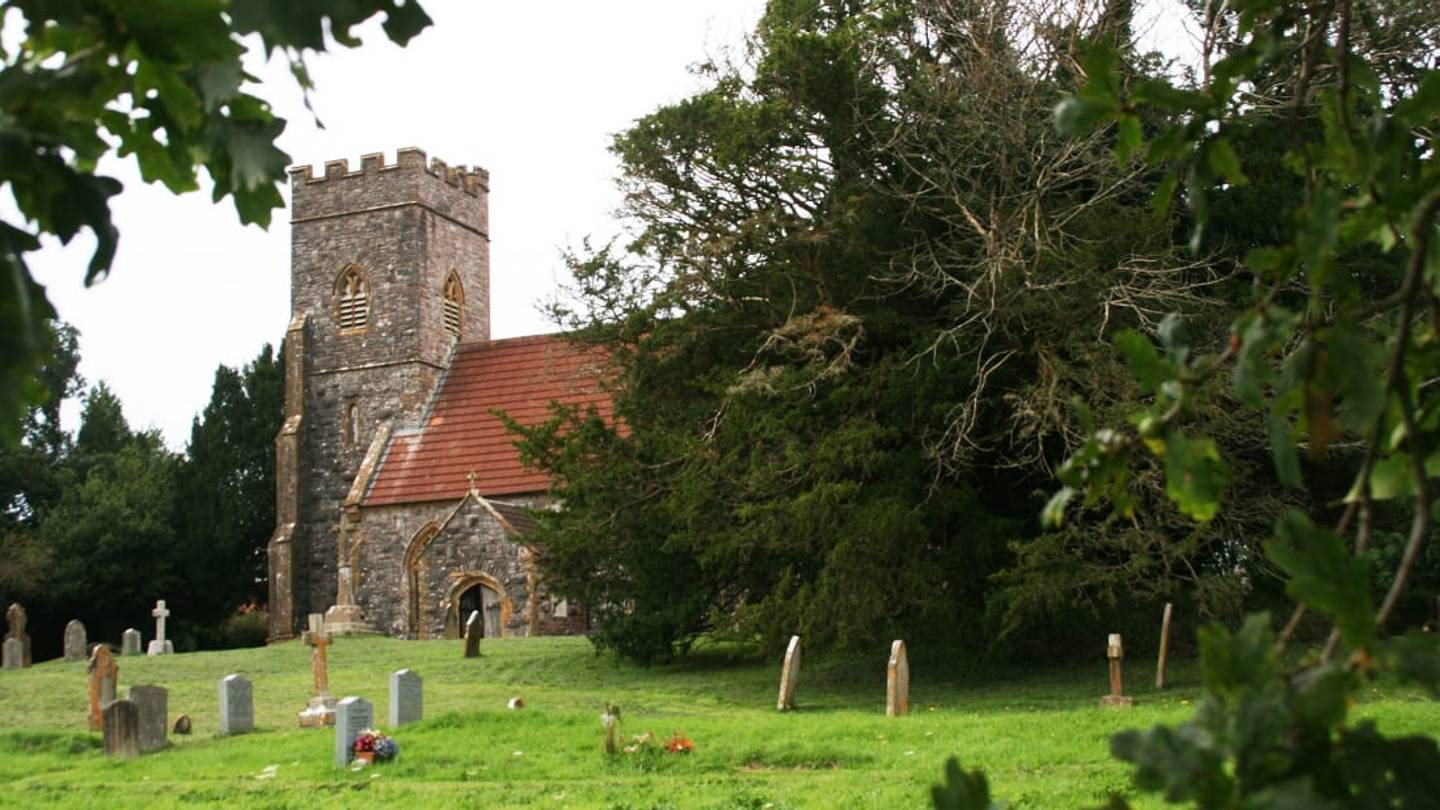 15 of the World’s Most Famous Trees