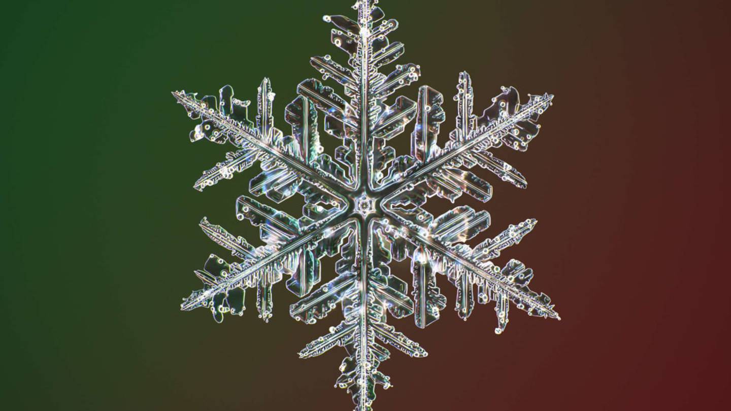 Say “Freeze!”: An Innovative High-Resolution Camera Captures the ...