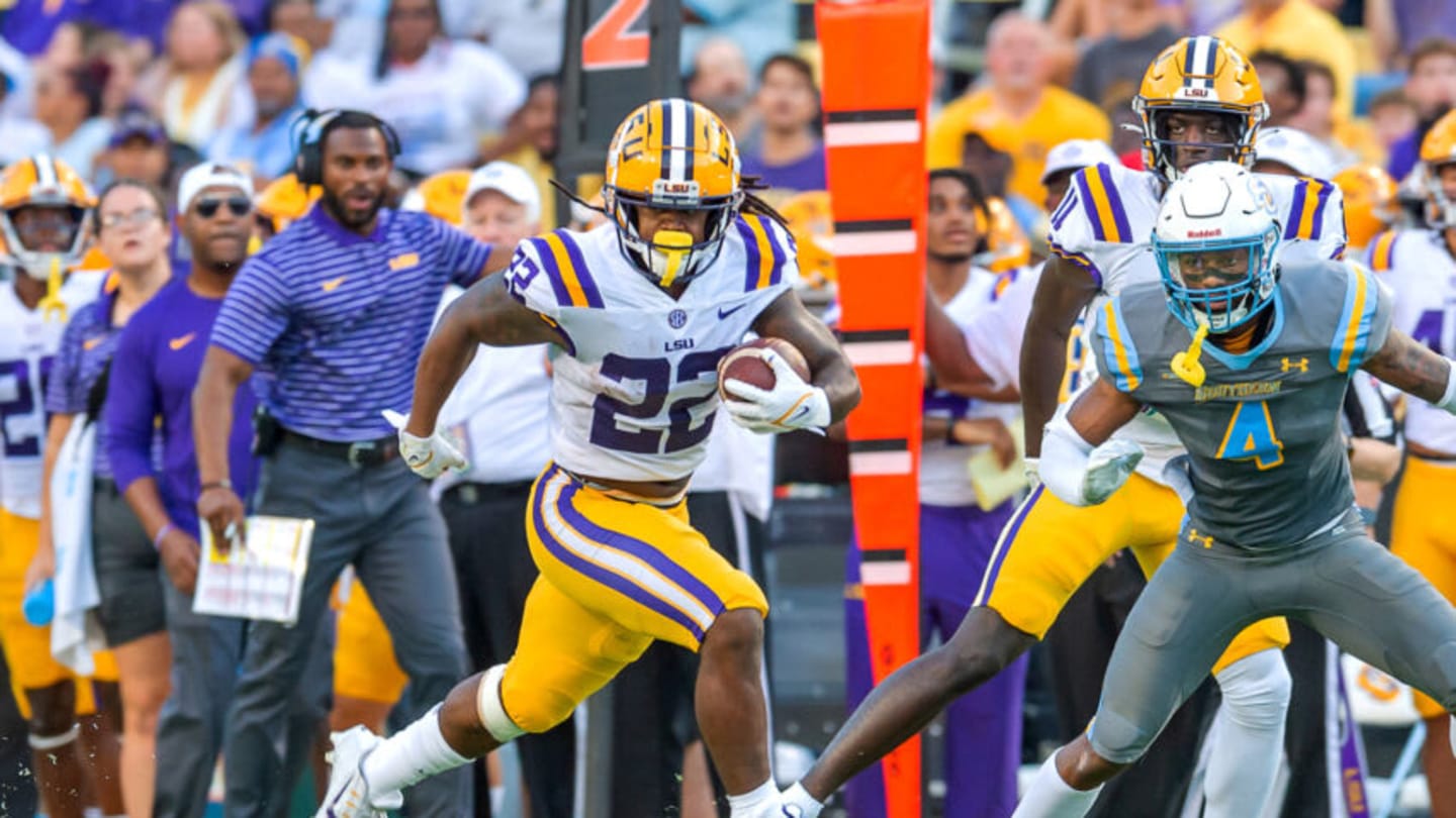 LSU football: Which players earned their stripes against SU?