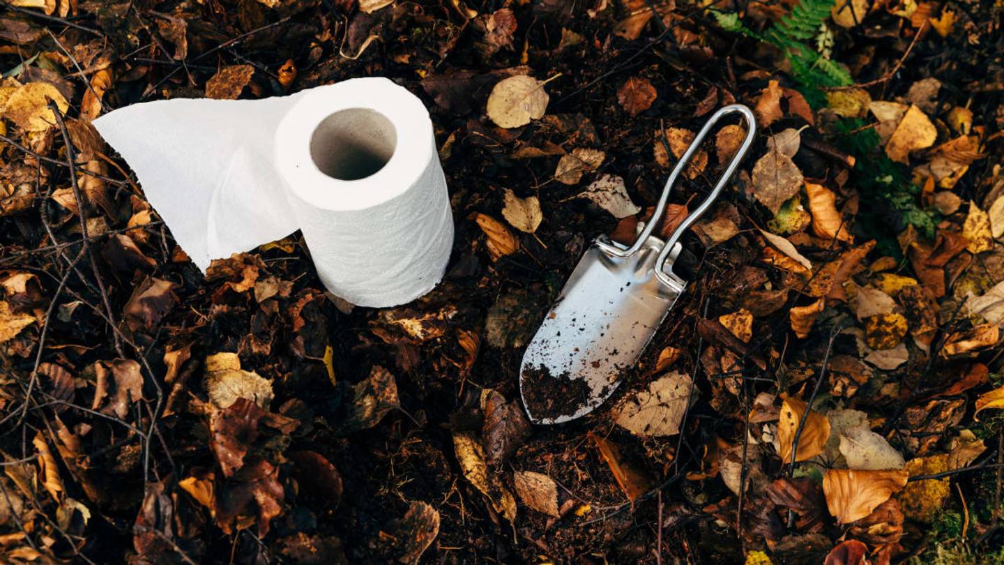 How to Poop in the Woods, According to the New York State Department of ...
