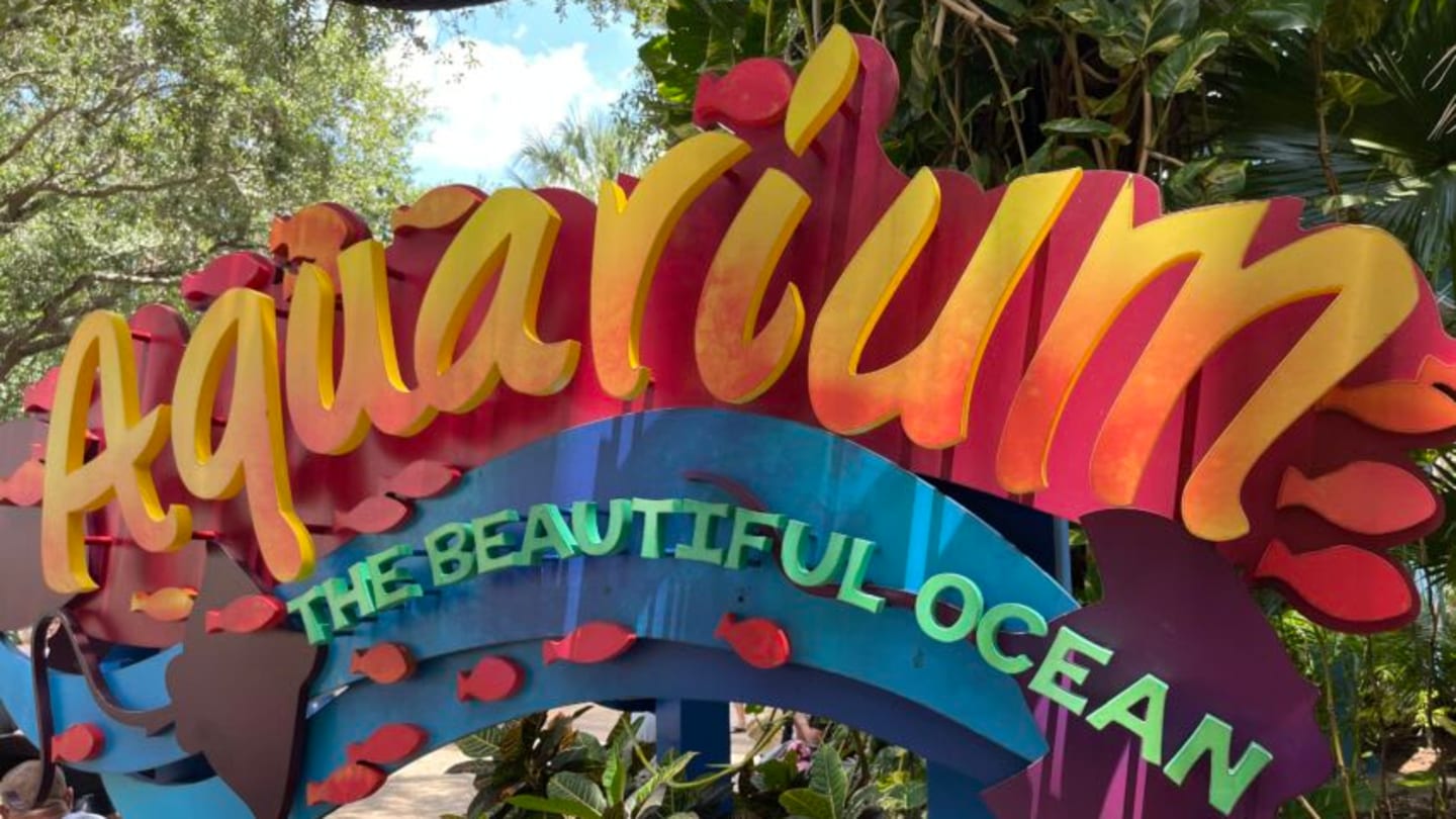 The SeaWorld aquarium is something many visitors miss, but shouldn’t