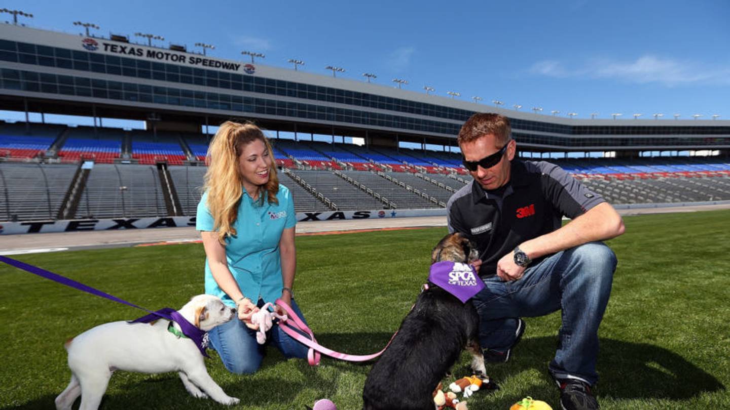 First Dogs reveal which charity they will be raising money for in March ...