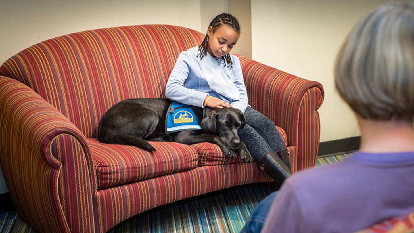 Courthouse Dogs Help Victims Tell Their Stories