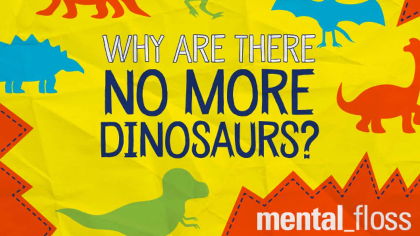 Why Are There No More Dinosaurs?