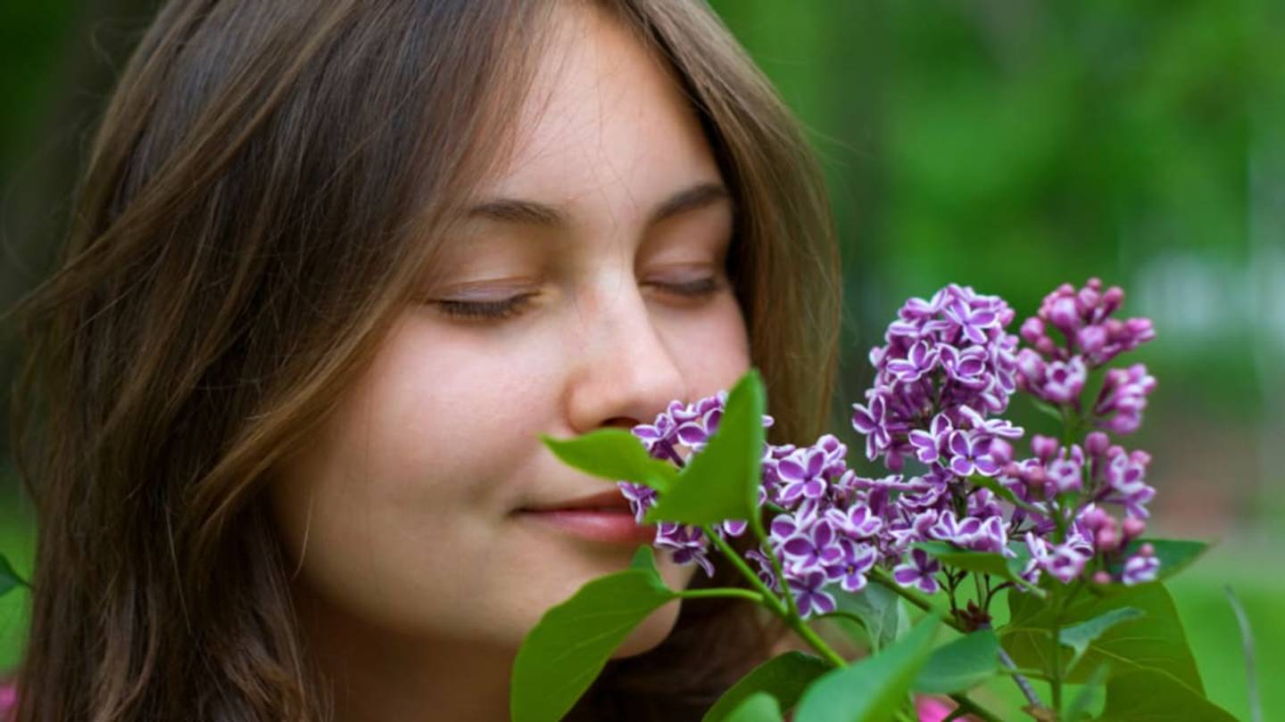 The 10 Current Scent Trademarks Currently Recognized by the U.S. Patent ...