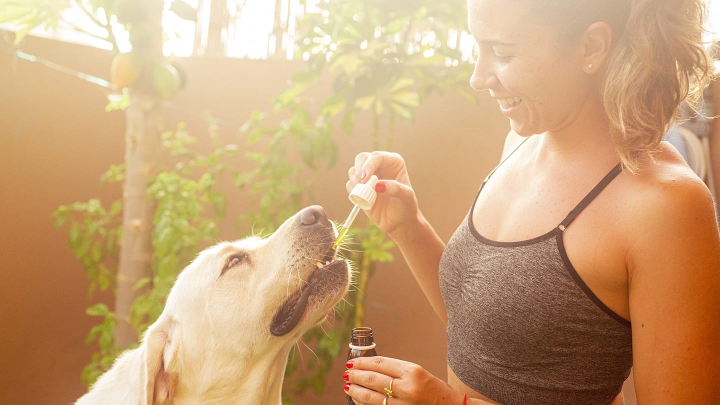 How to Read CBD Labels & Avoid Bad Products