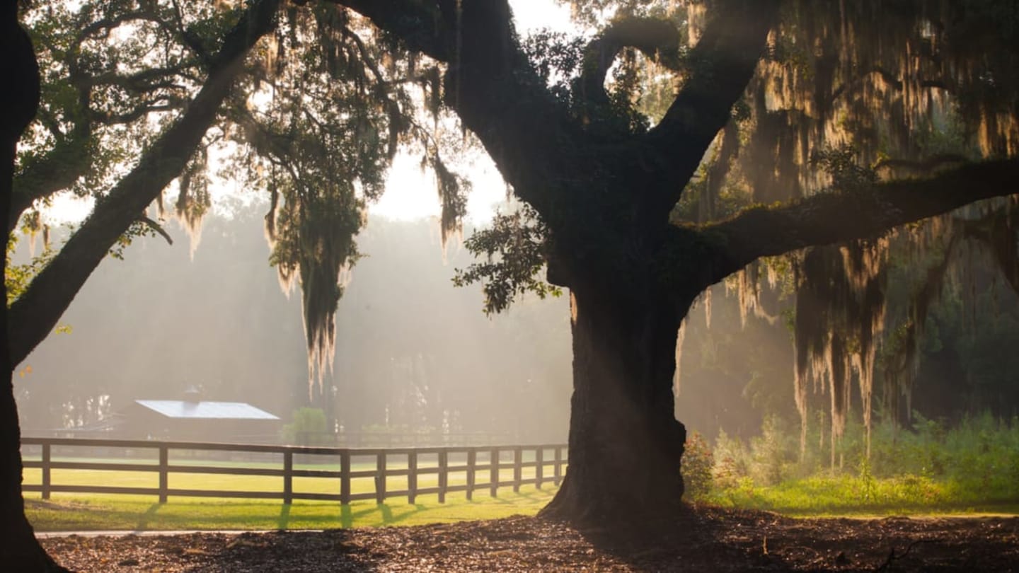 Why Is the Southeast So Humid? | Mental Floss