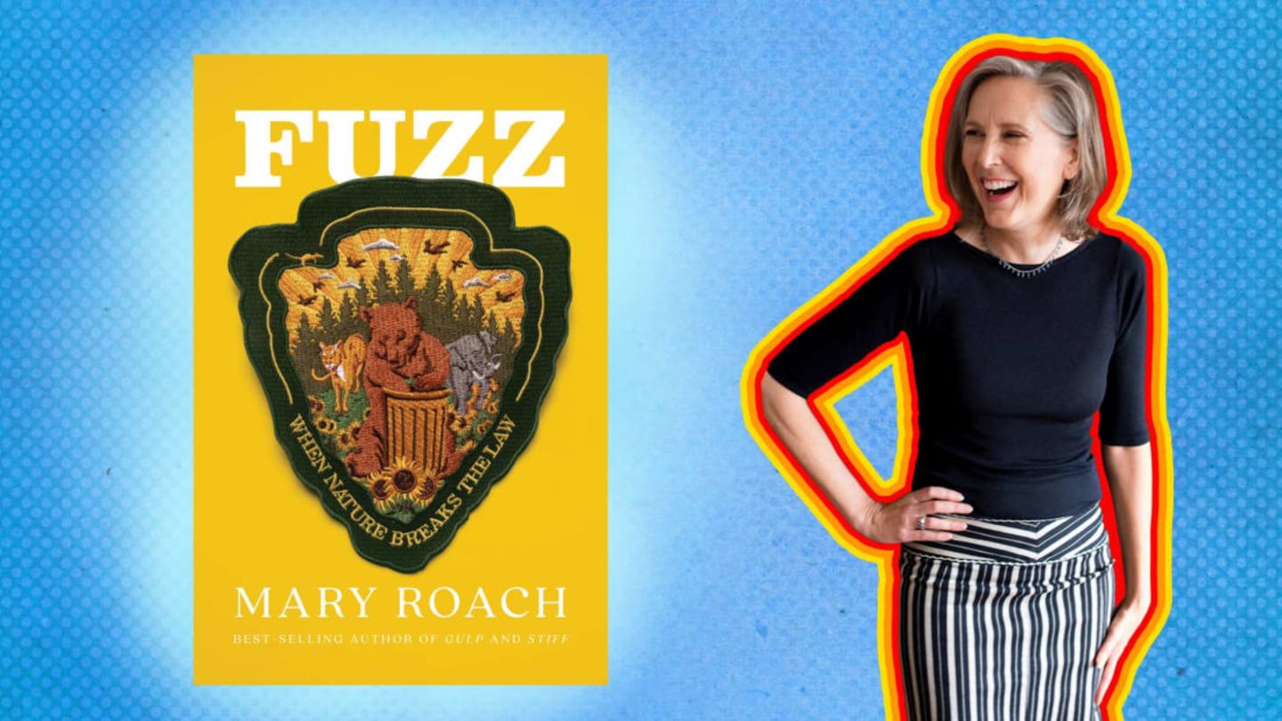 Excerpt from Mary Roach's New Book, 'Fuzz' | Mental Floss