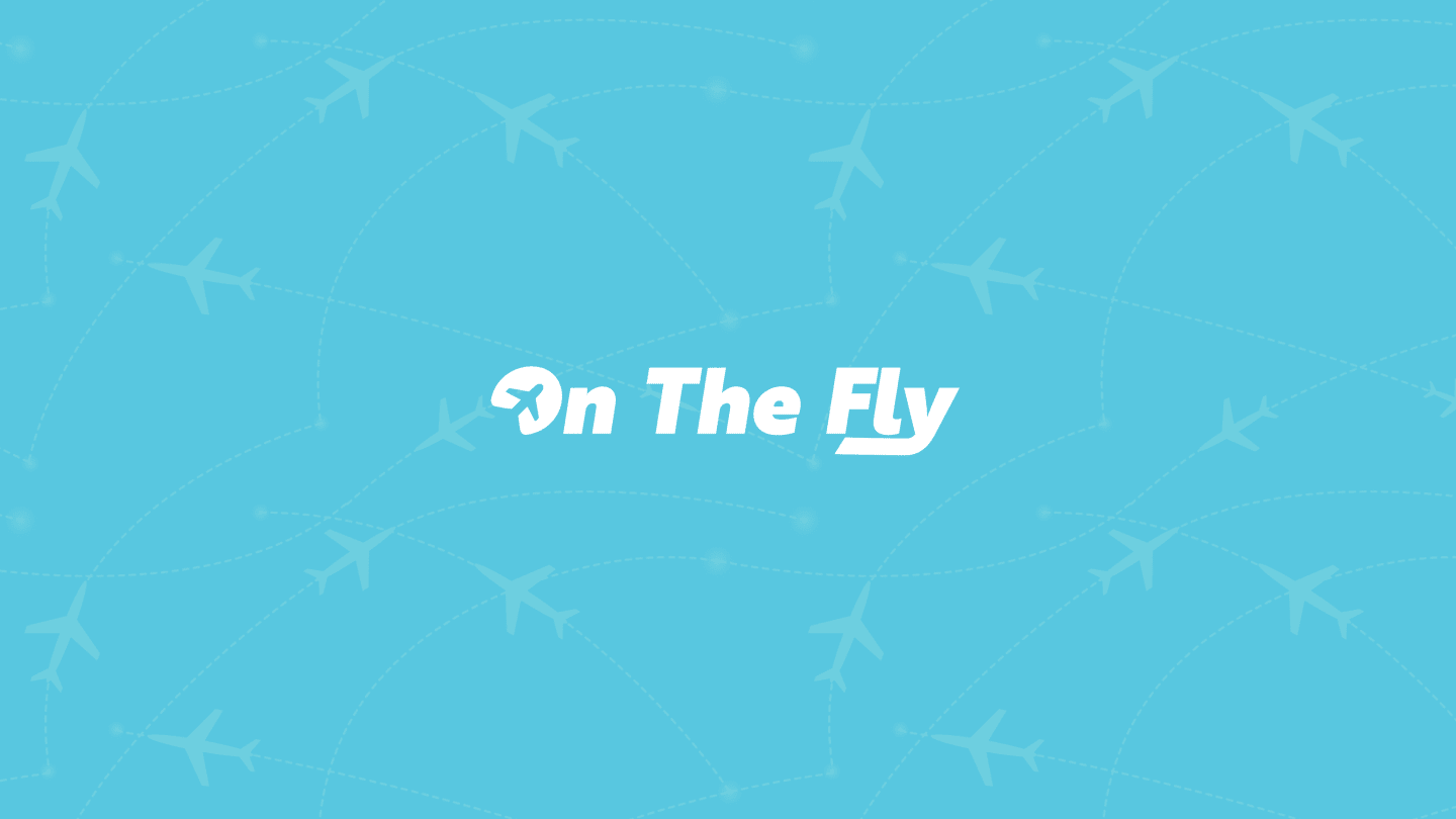On The Fly | Home