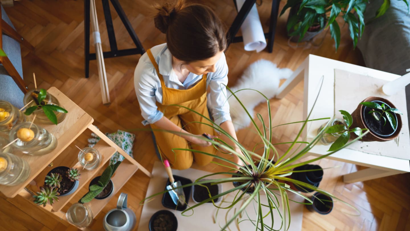 Turn Your Home Into a Lush Oasis