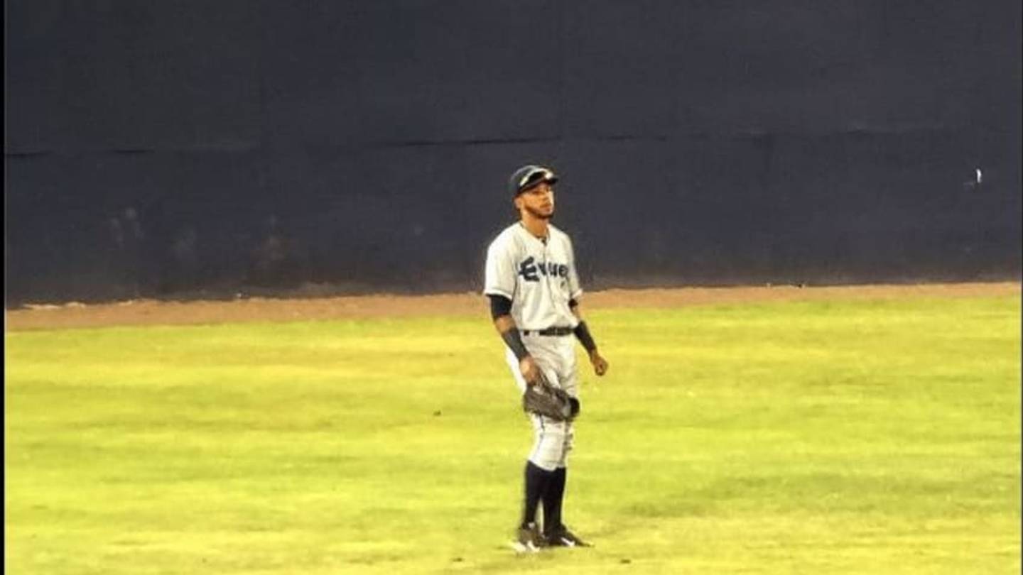 Mariners Top 20 Prospects: #8 CF Luis Liberato