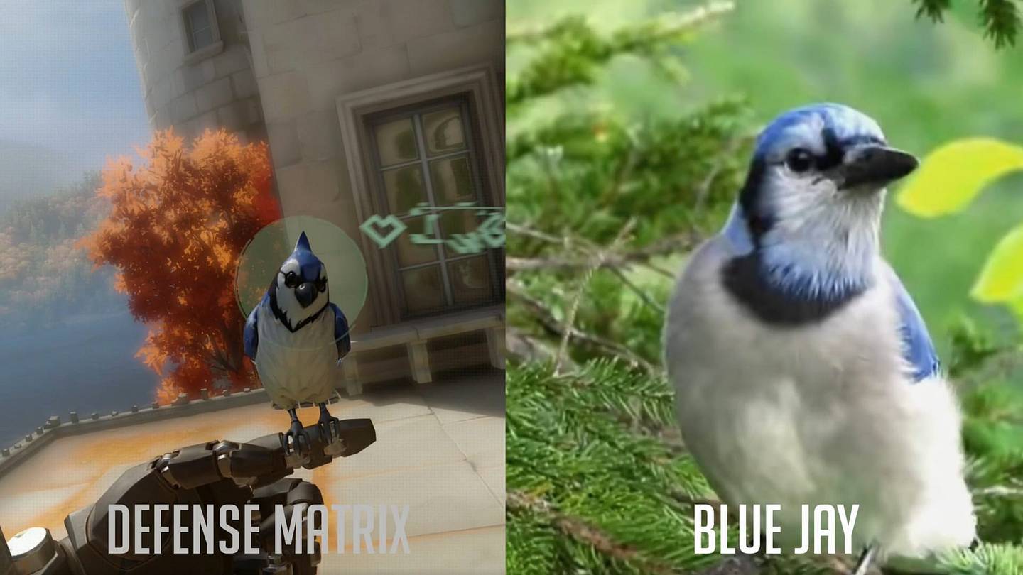 Fan Compares Bastion Skins' Bird Sounds to Real World Counterparts