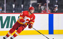 Toronto Maple Leafs: History Of Robidas Island Vacations