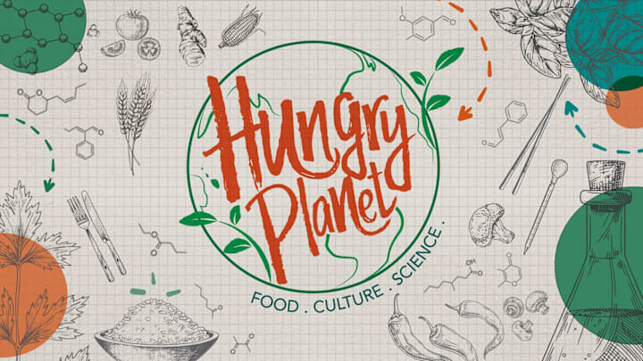 Hungry Planet feeds people’s desire to be better informed about food
