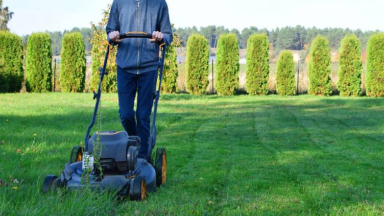 That "Fresh Cut Grass" Smell Is a Distress Signal | Mental Floss