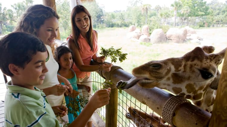 11 Interactive Zoos | Mental Floss