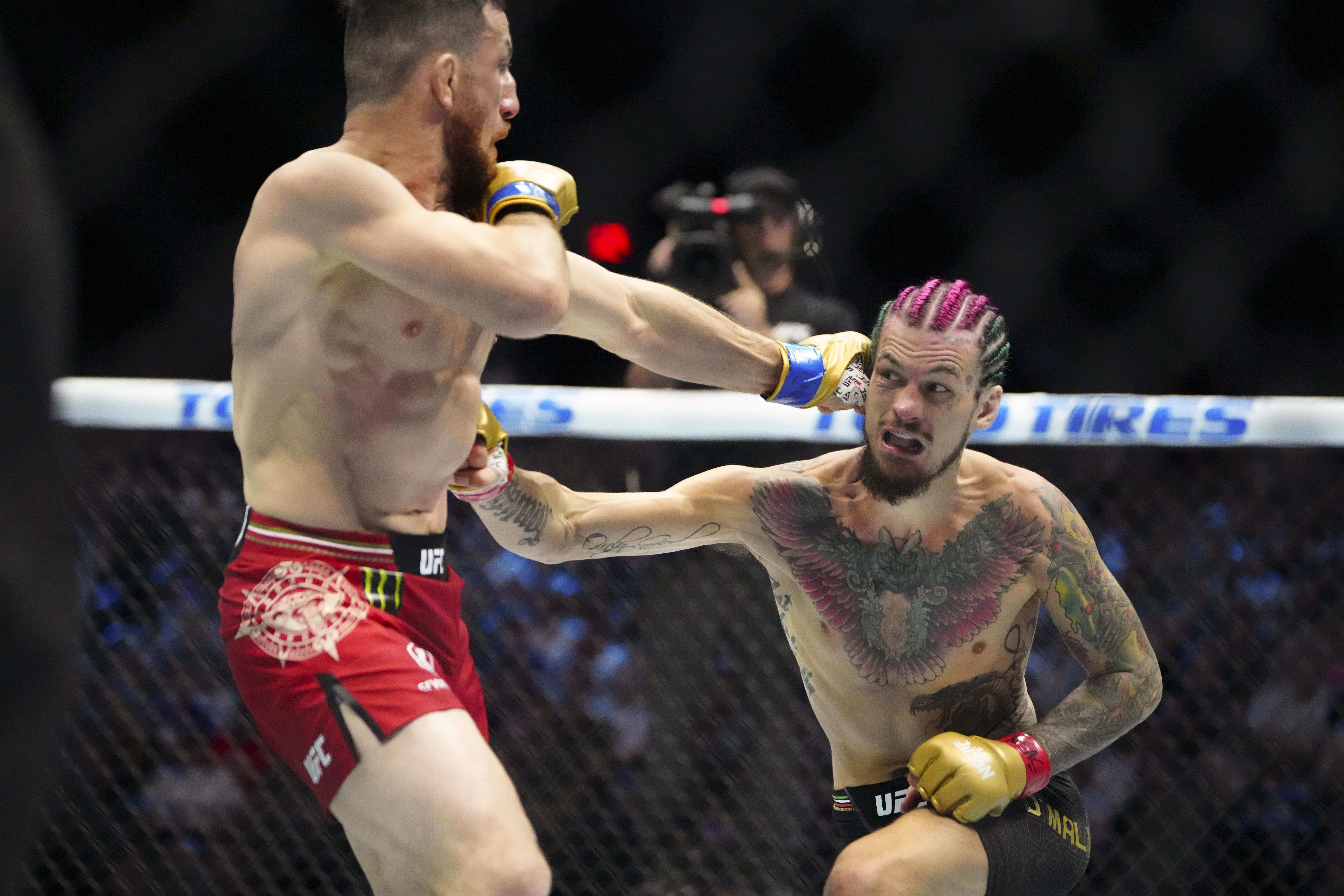 Dana White drops update on Merab Dvalishvili vs. Sean O'Malley 2