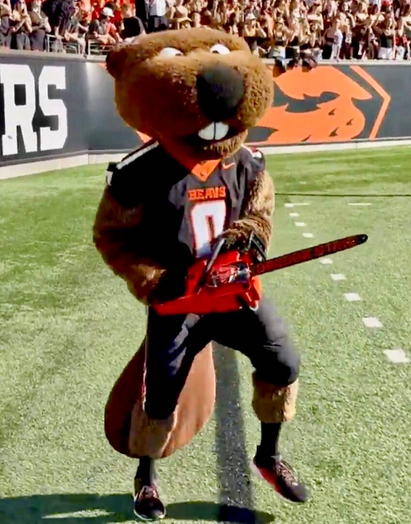 College Football Tour visits Oregon State and Reser Stadium