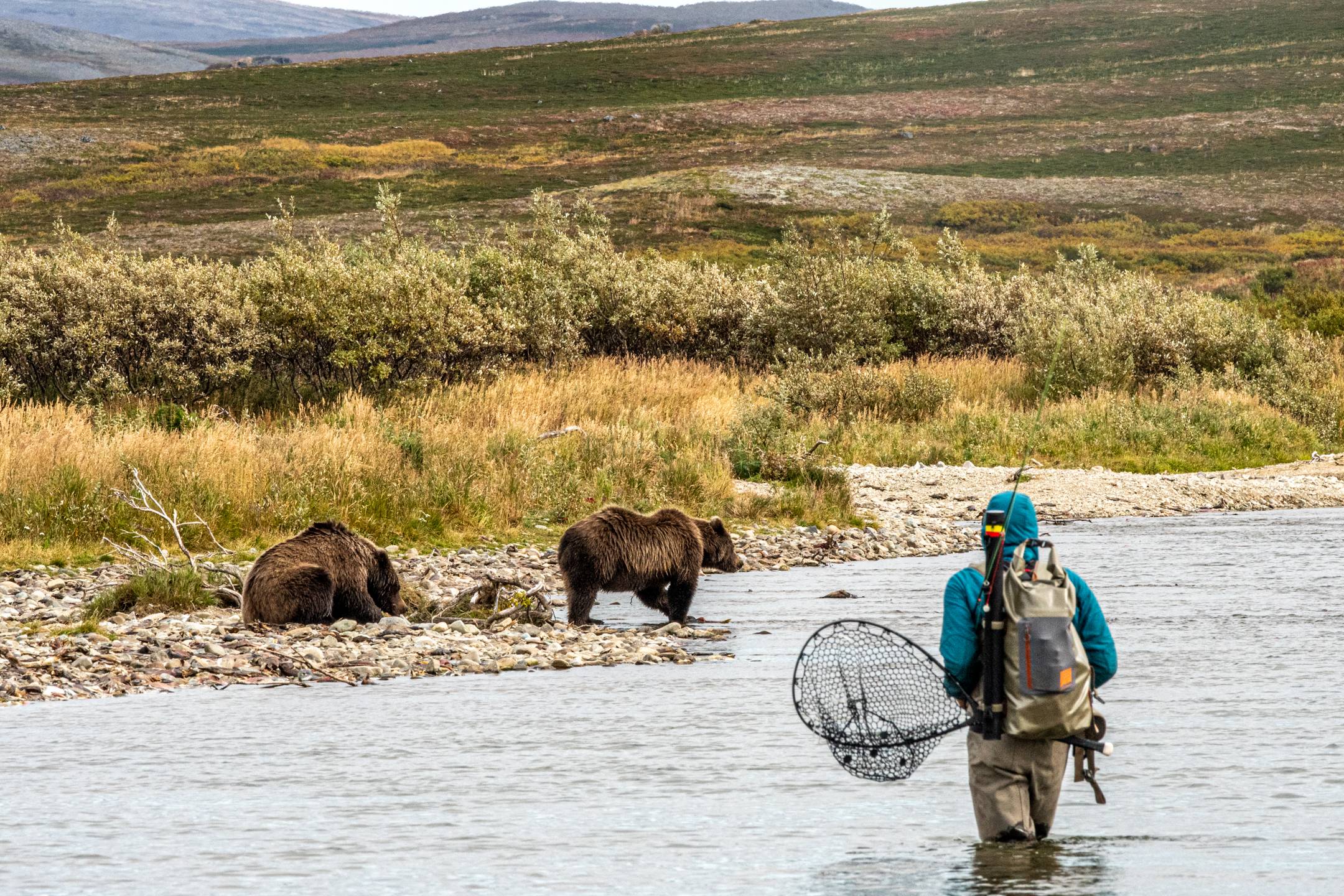 The Day I Met the White Bear: A Grizzly Encounter in Alaska
