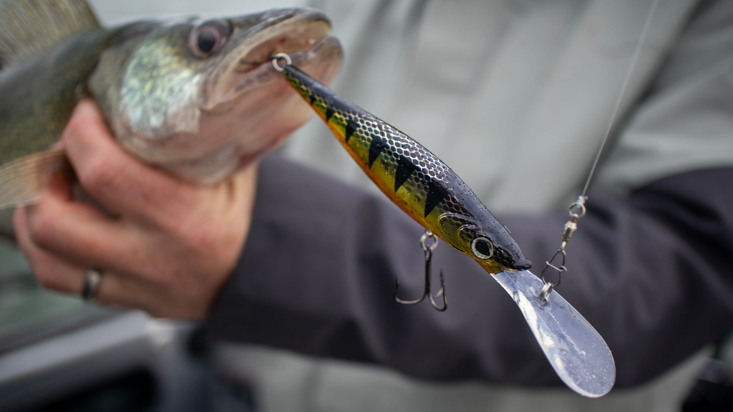 Trolling Made Easy: How to Quickly Master Planer Board Fishing for Walleye