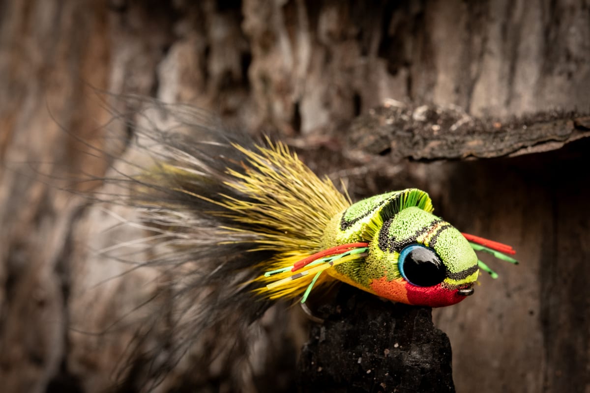 The Top 6 Flies for Smallmouth Bass That Will Catch More Fish