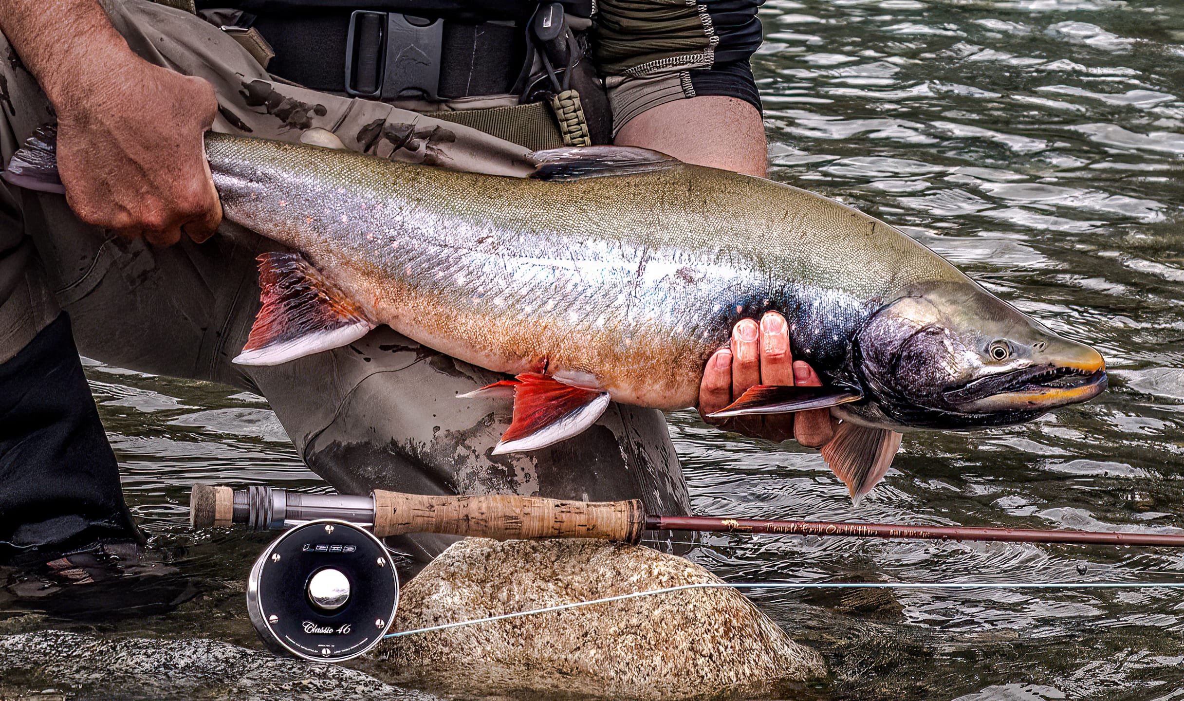 Learn to Fly Fish: 5 Important Tips for the Beginner Angler