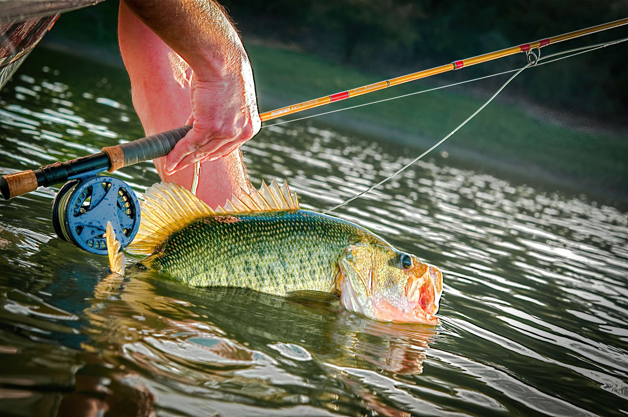 Fly Fishing Sinking Tips- I Wish I Knew How Simple These Were To Fish