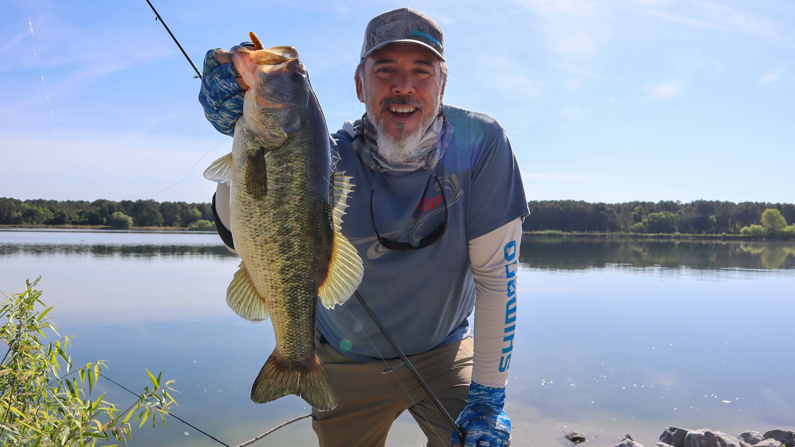 Best Bass Fishing Lure: Why Soft Stick Baits Dominate Every Season