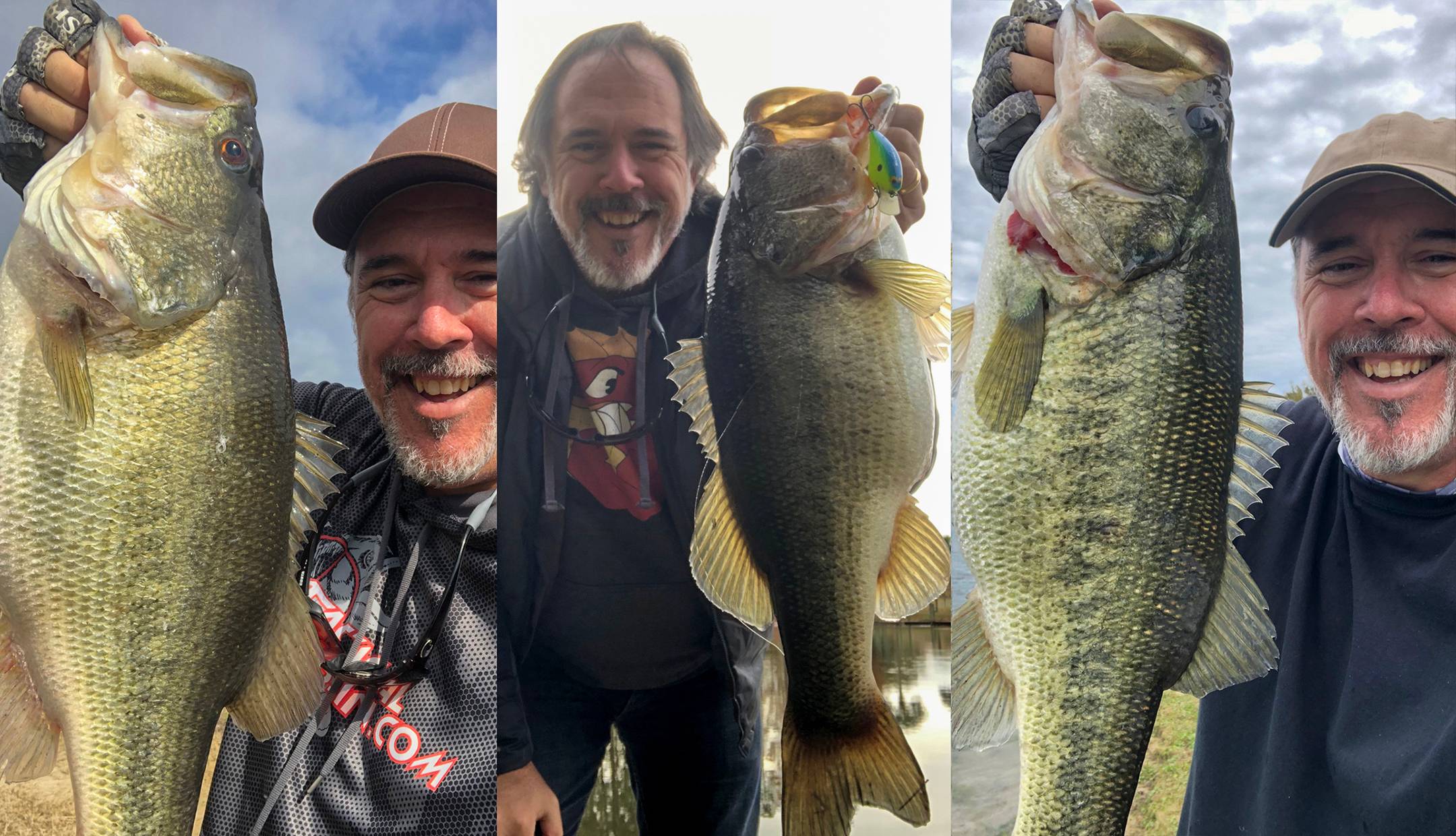 Best Bass Fishing Lure: Why Soft Stick Baits Dominate Every Season