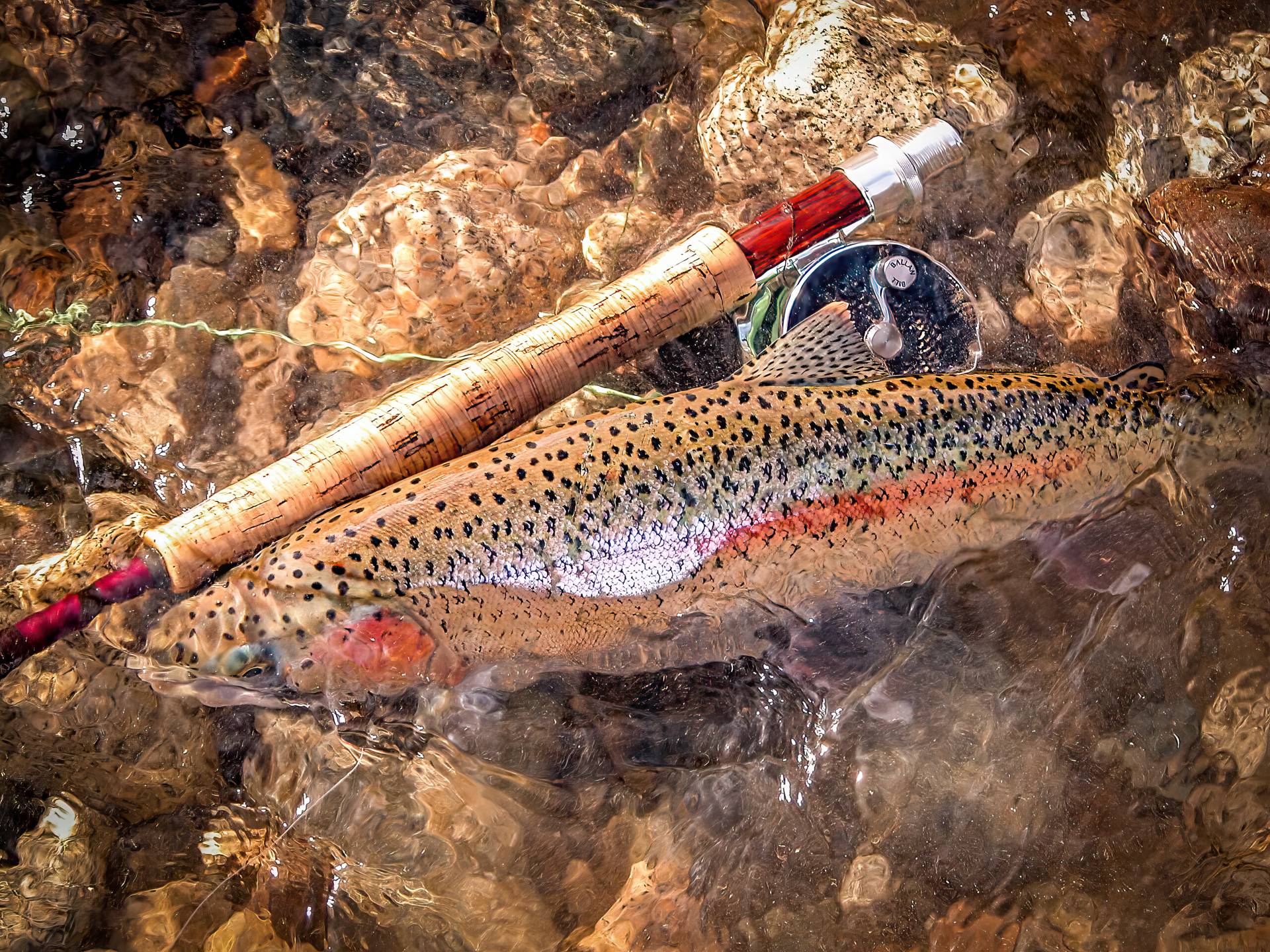 Fly Fishing Skills- Tips on Seeing Fish and Improving Your Catch Rate