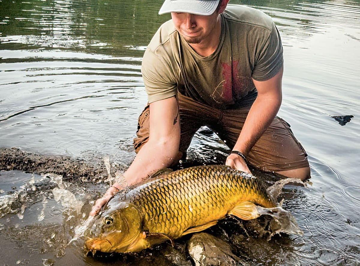 How to Fly Fish for Carp: Challenging, Fun, and a Whole Lotta Fight on ...