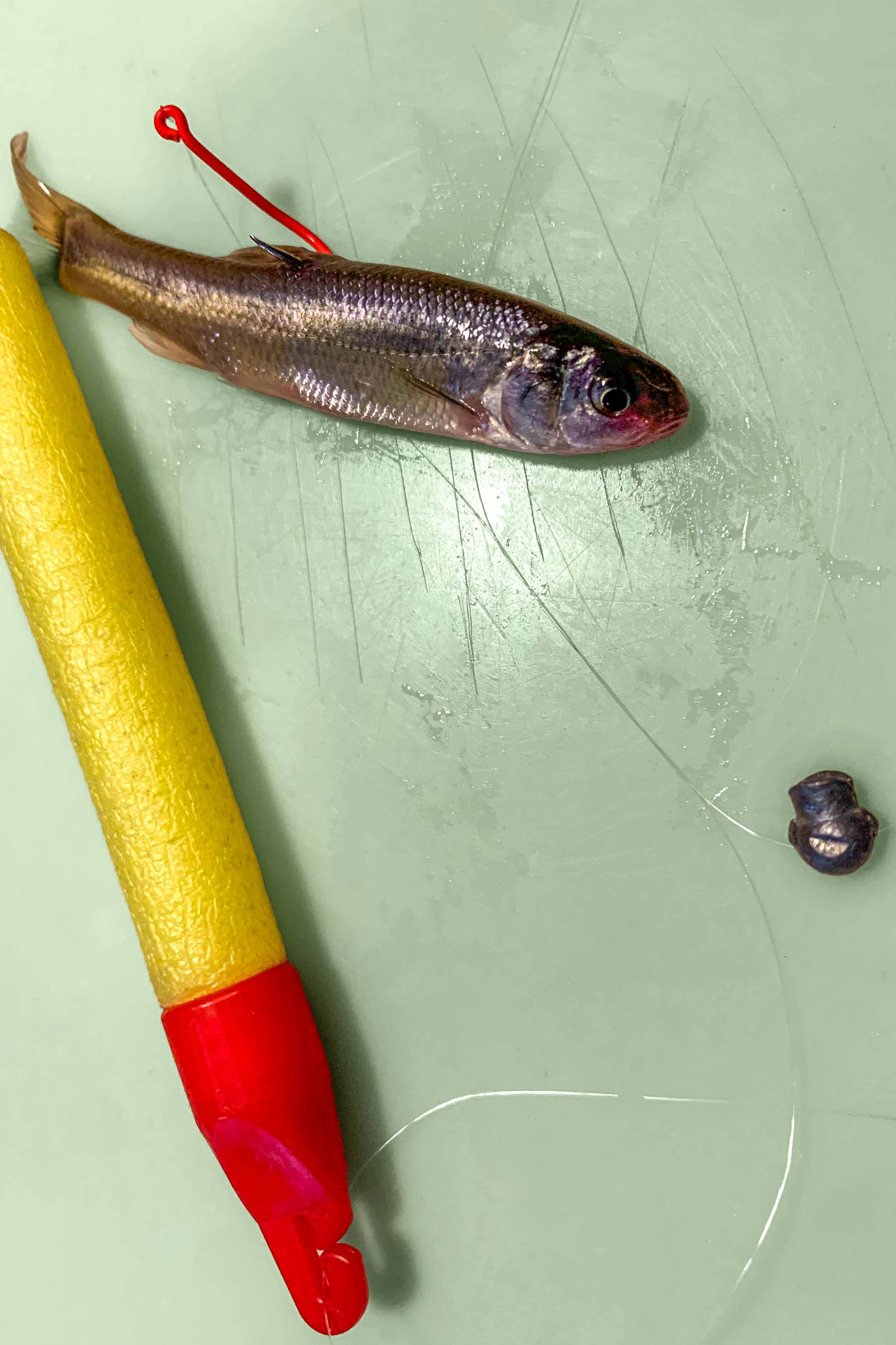 Best Walleye Rigs for Ice Fishing | Top Tips for Winter Fishing Success