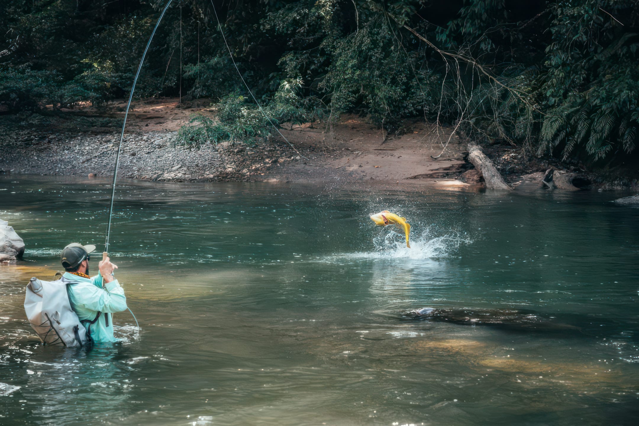 An Epic Fly Fishing Adventure Chasing Golden Dorado in the Bolivian Jungles