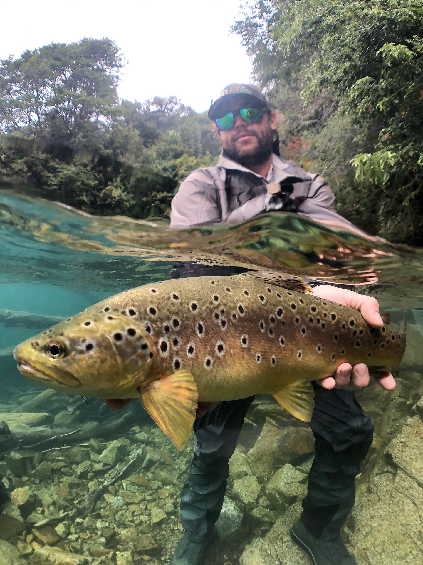 Unforgettable Fly Fishing in Chile: The Lessons I Learned in Patagonia