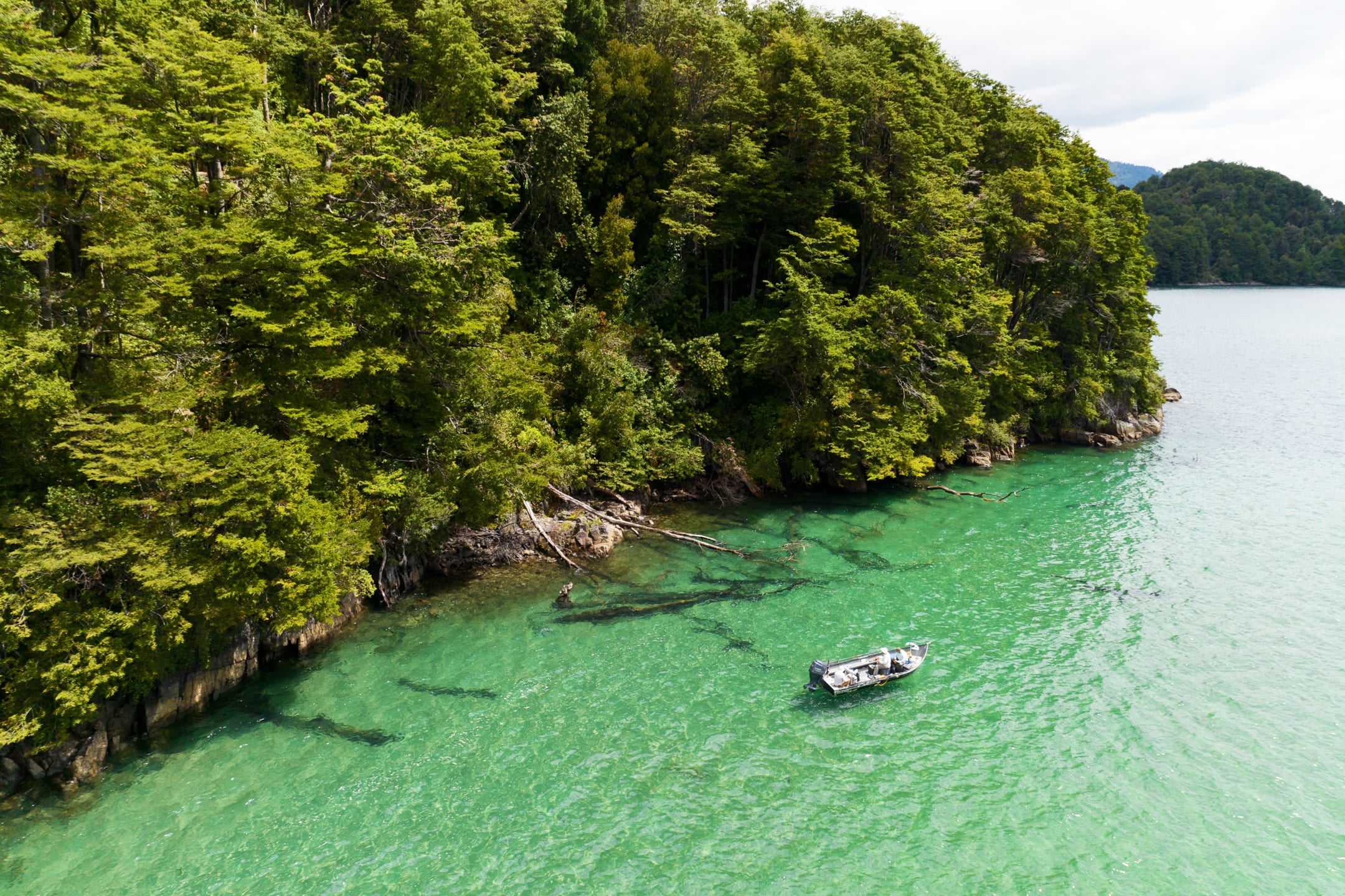 Unforgettable Fly Fishing in Chile: The Lessons I Learned in Patagonia