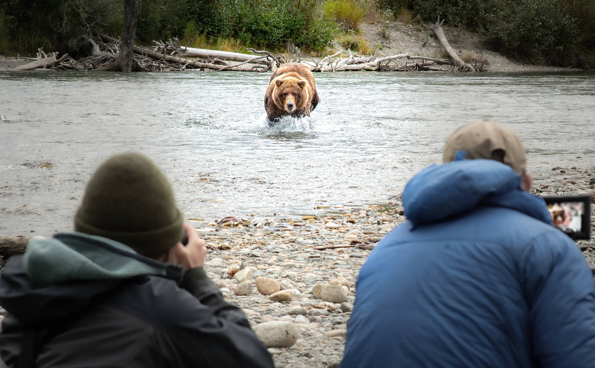 Wild Encounters: 20 Years of Photographing and Fishing with Bears