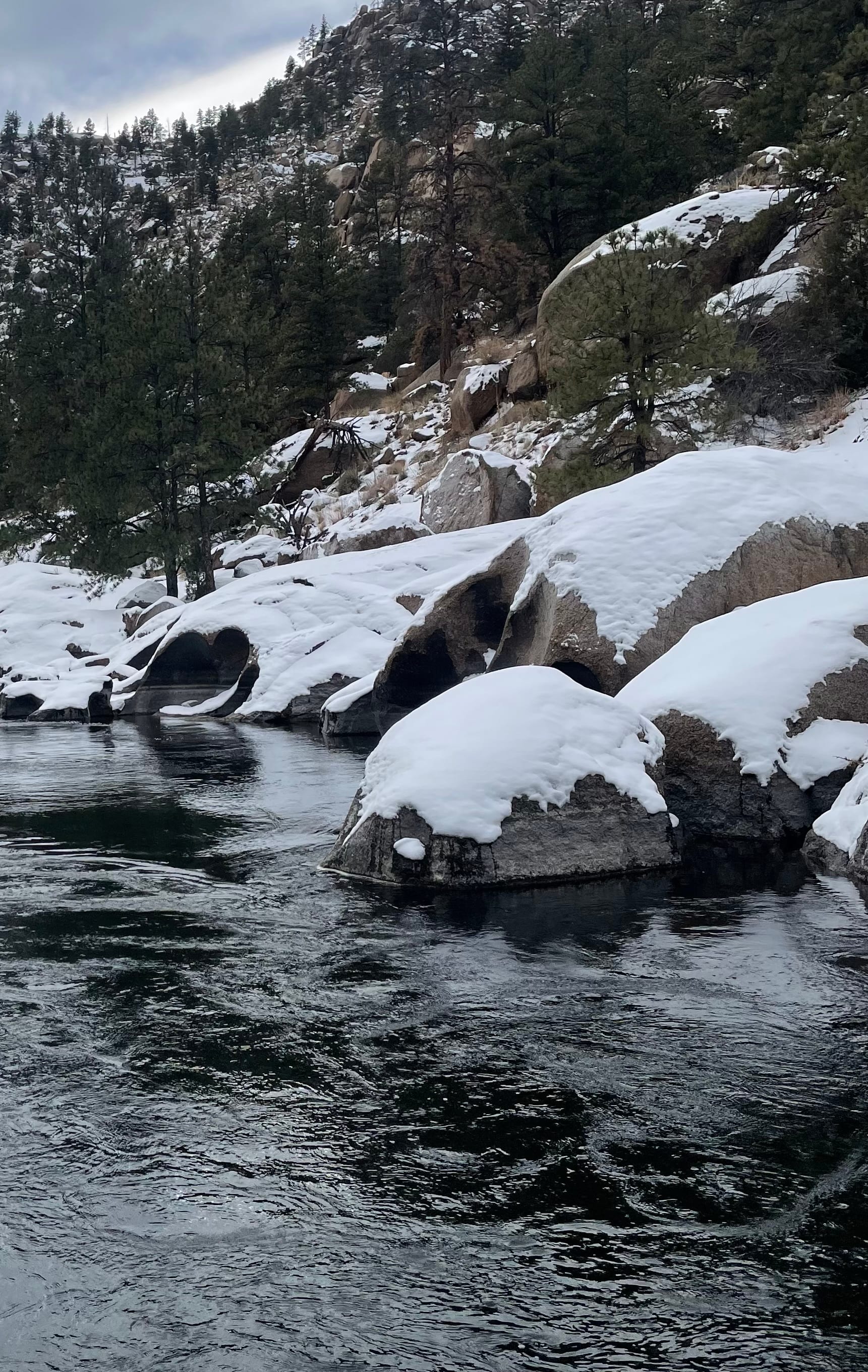 Beginner's Guide to Reading a Trout Stream