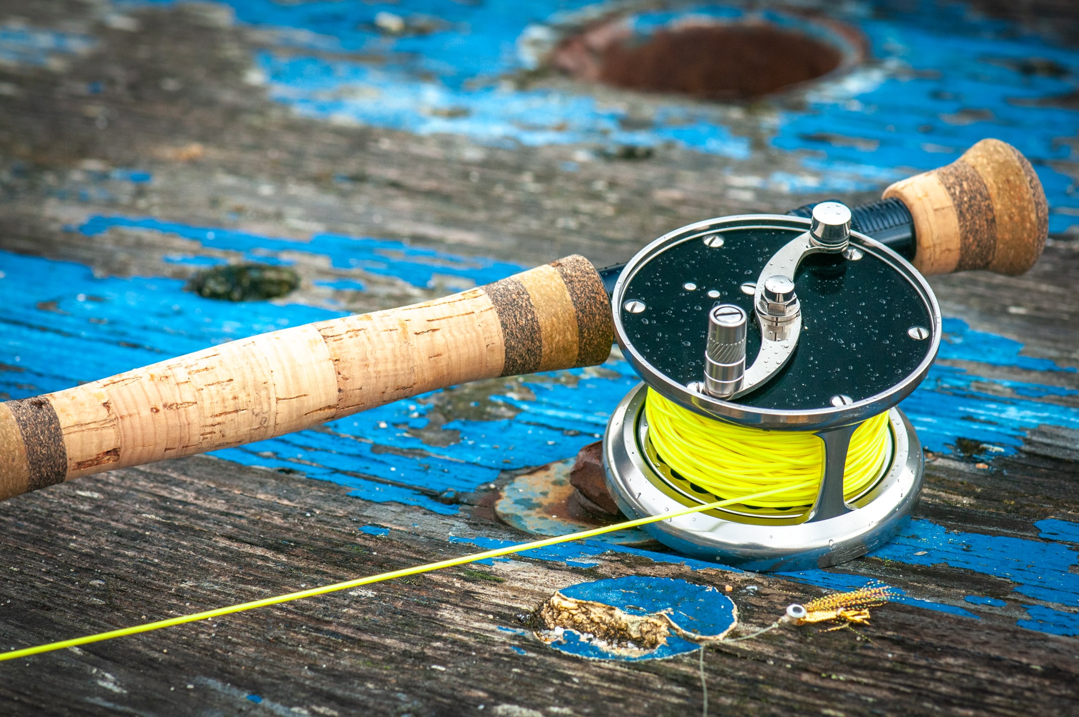 7 "Tried and True" Essential Dry Flies for Every Trout Angler