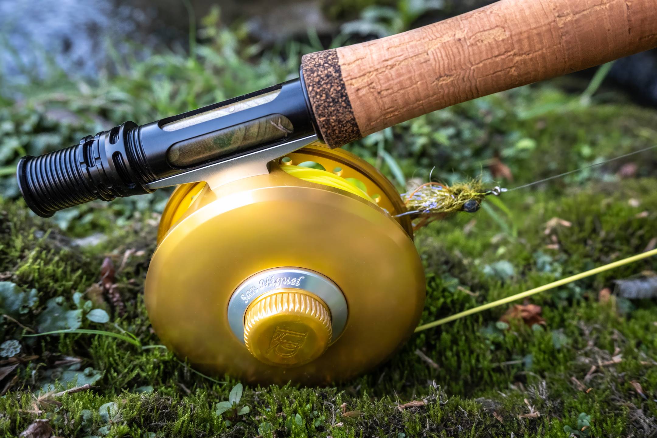 Ross Reels Celebrates 50 Years — A Commemorative Edition of the San ...