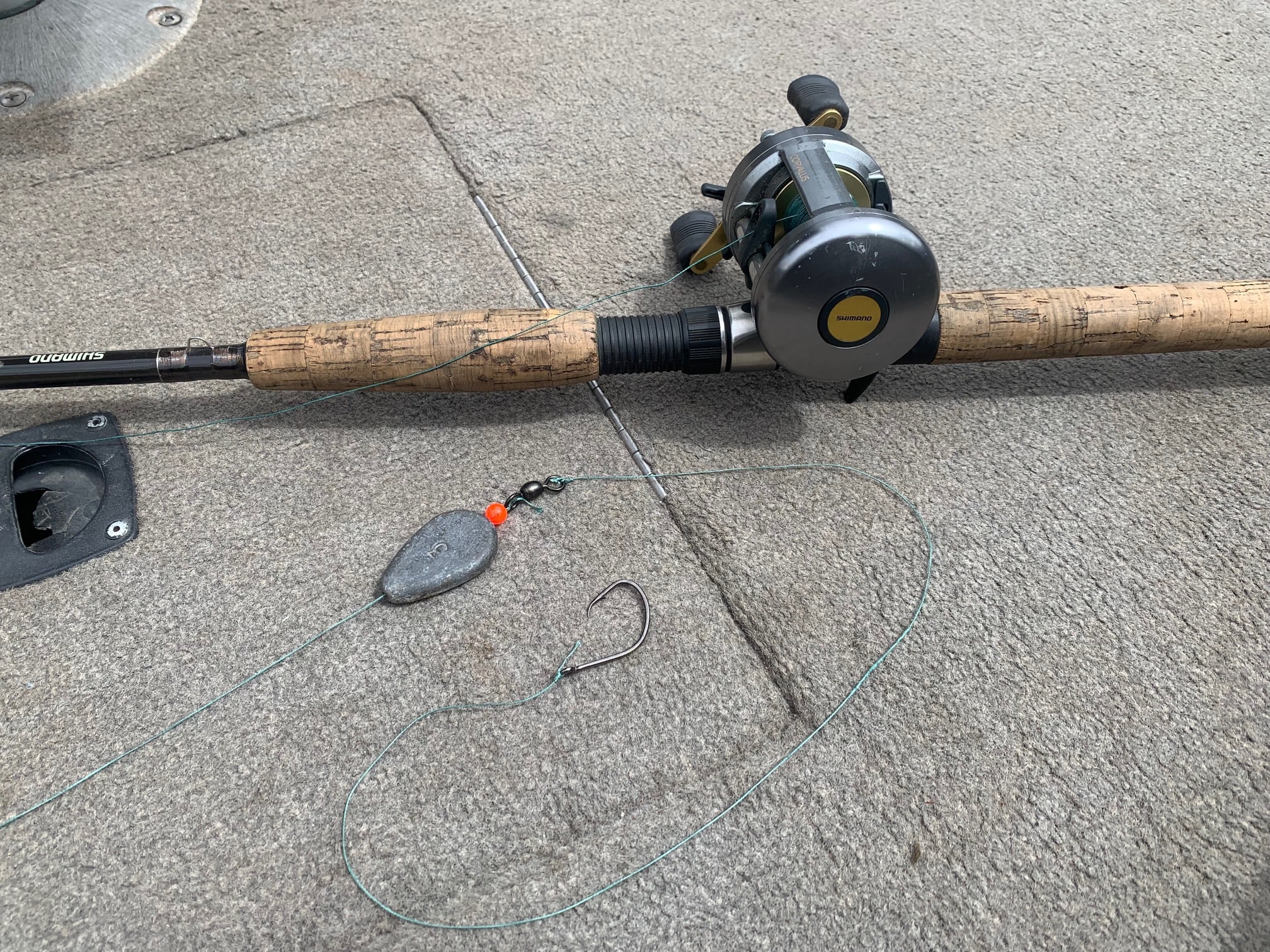 Lake Sturgeon Fishing Guide | Gear, Baits & Best Spots