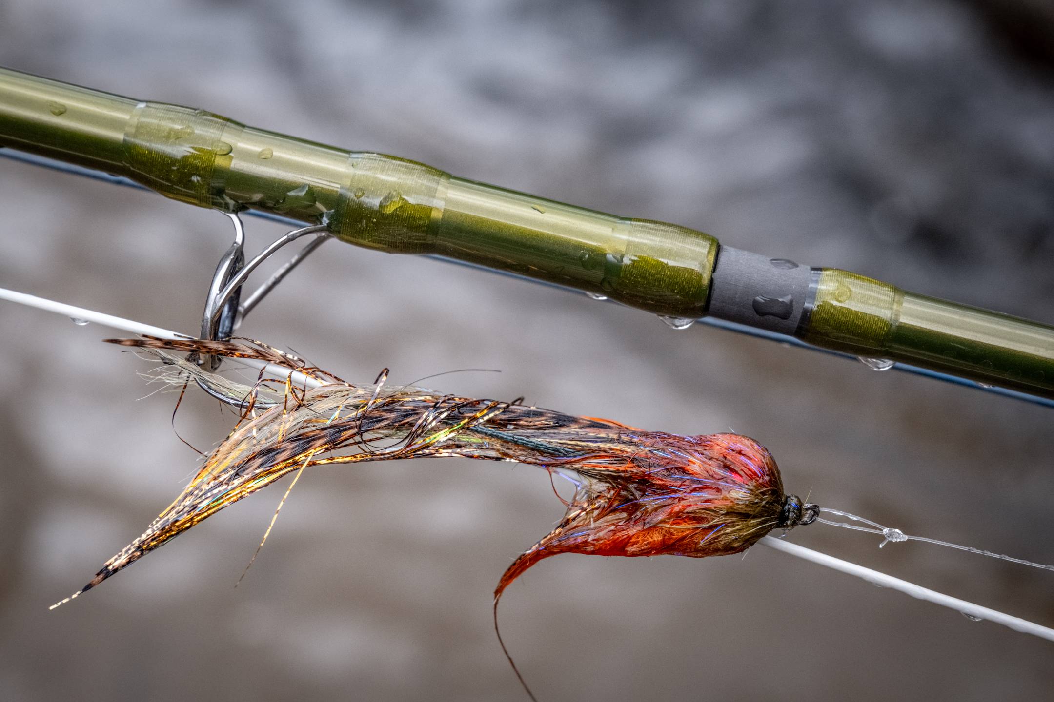 Fly Fishing for Steelhead Just Minutes Outside of Grand Rapids, Michigan