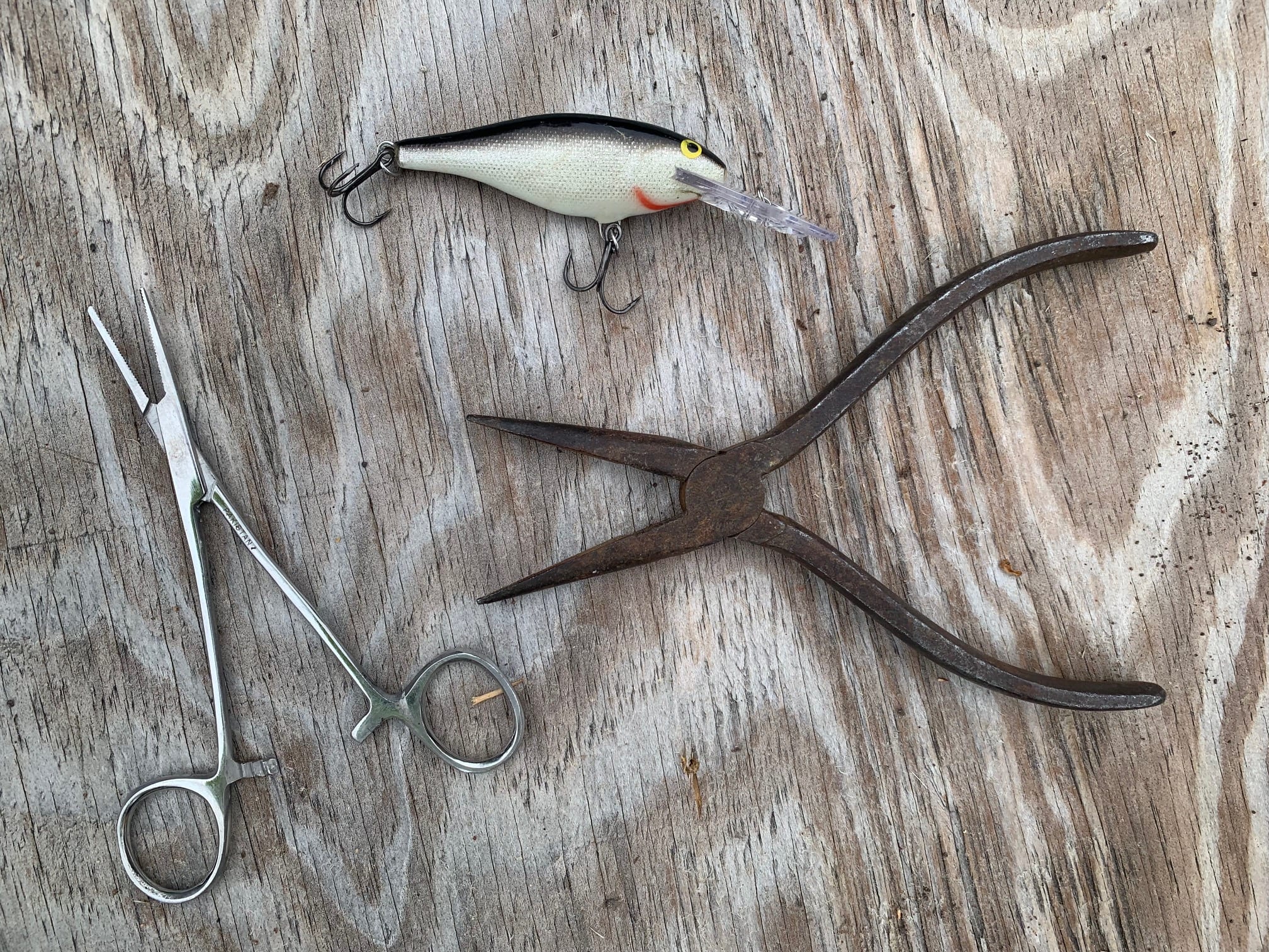 How to Unhook Fish: Safe Hook Removal for Catch and Release
