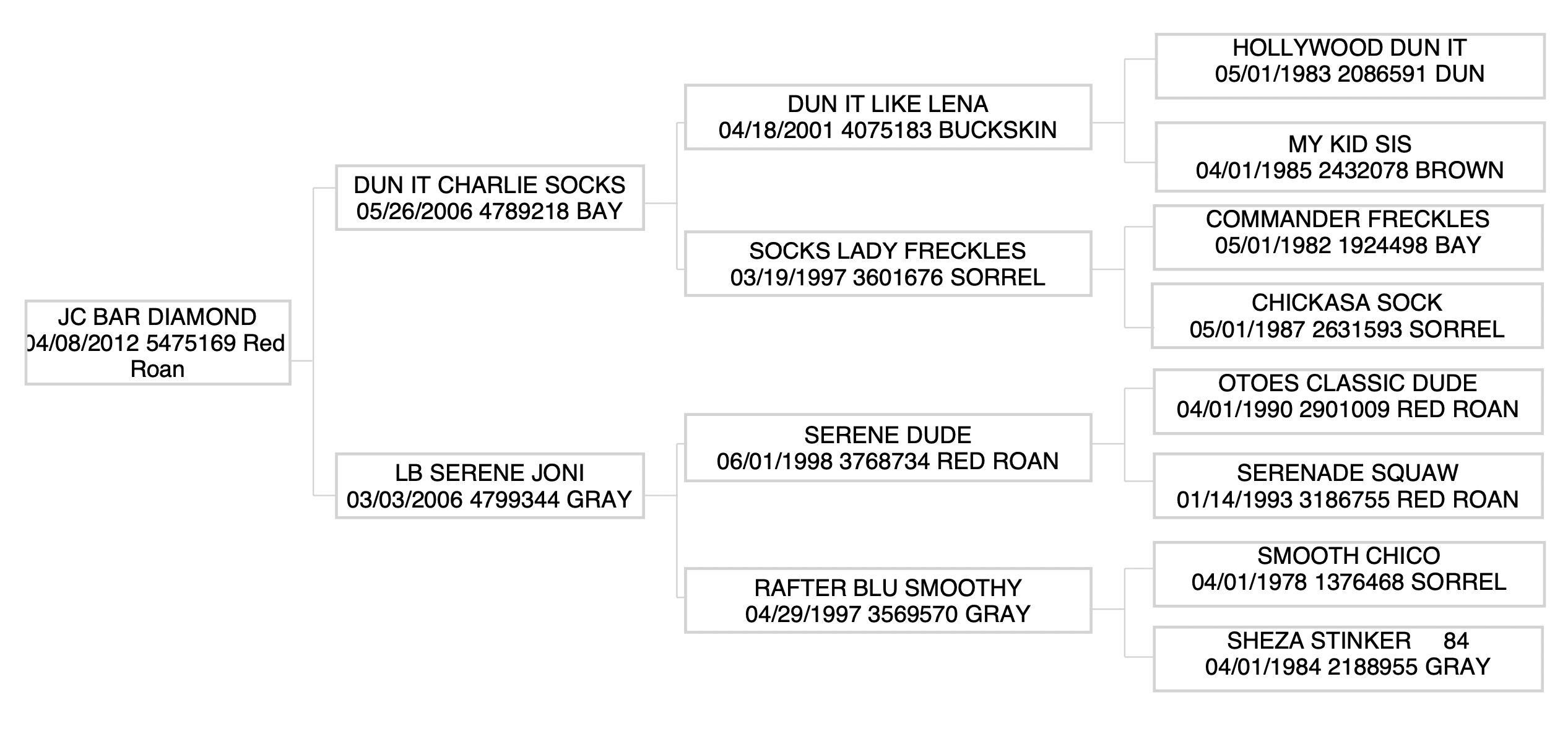 Bloodlines and Big Stops: The Pedigrees of the 2024 NFR Team Roping ...