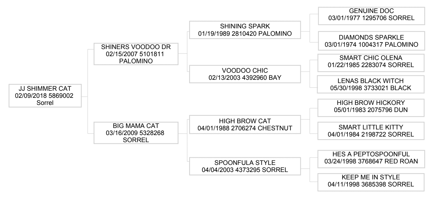 The Bloodlines Behind the Top 15 Tie Down Roping Horses at the 2024 NFR