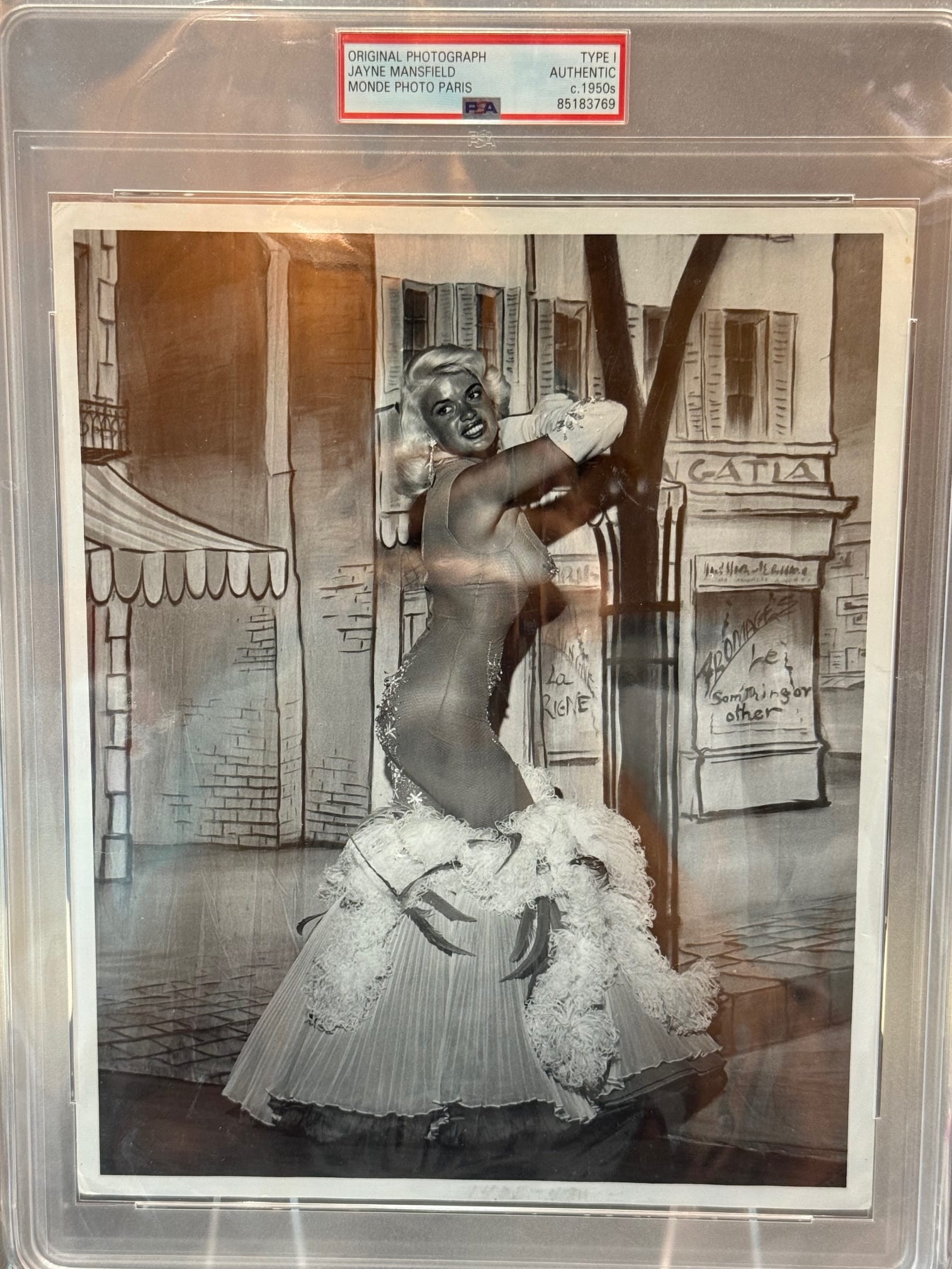 jayne mansfield museum