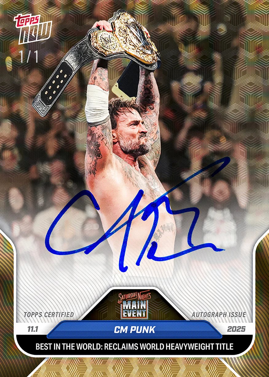 cm punk signed