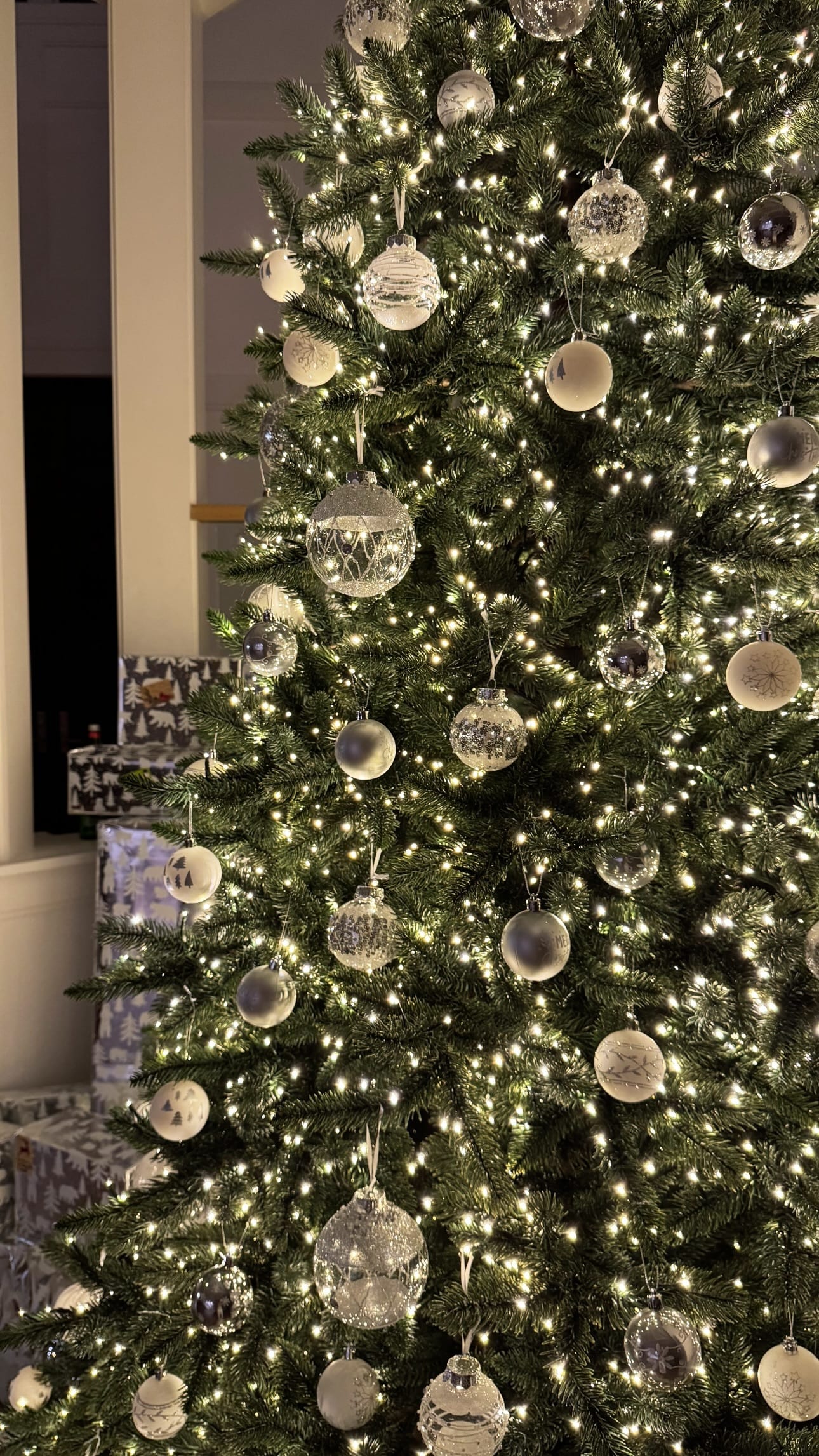 Jordan Poyer's wife Rachel Bush gives rare look at family Christmas in ...