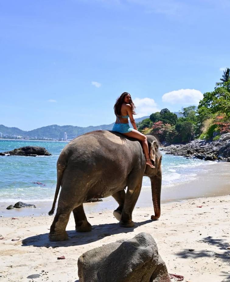 6-foot-7 WNBA star Kamilla Cardoso almost as tall as elephant in ...